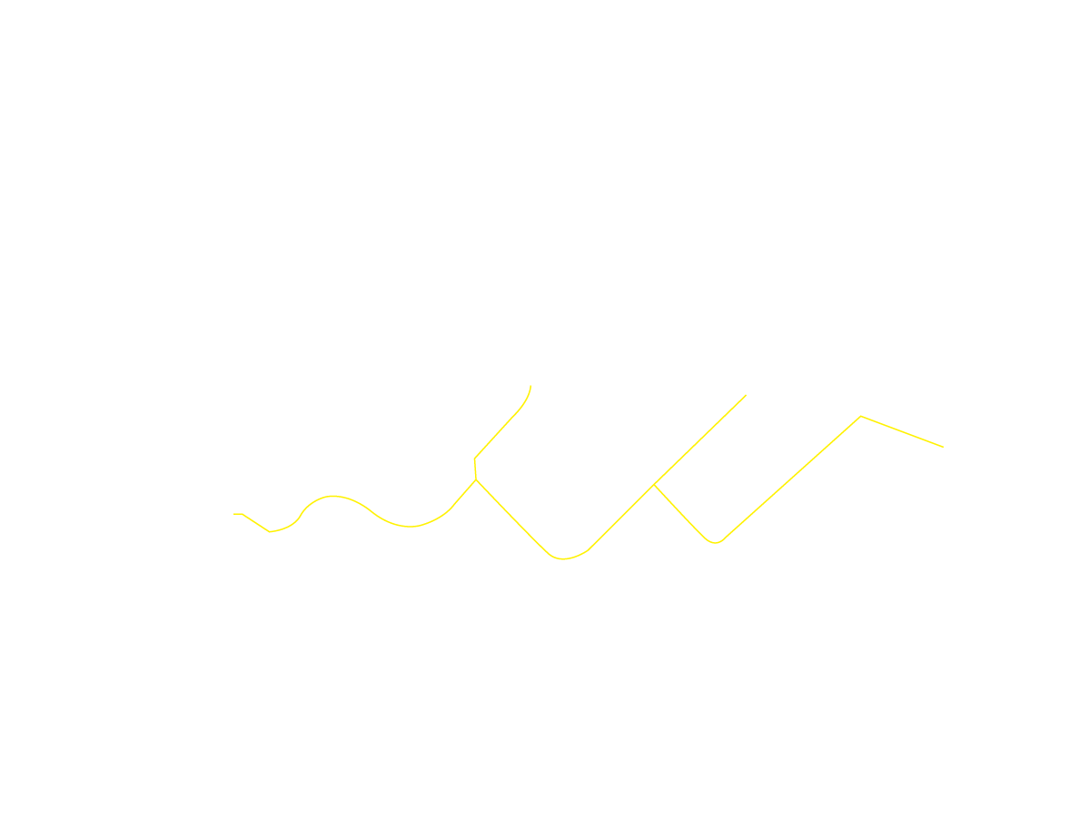 Welcome to the Rankin First