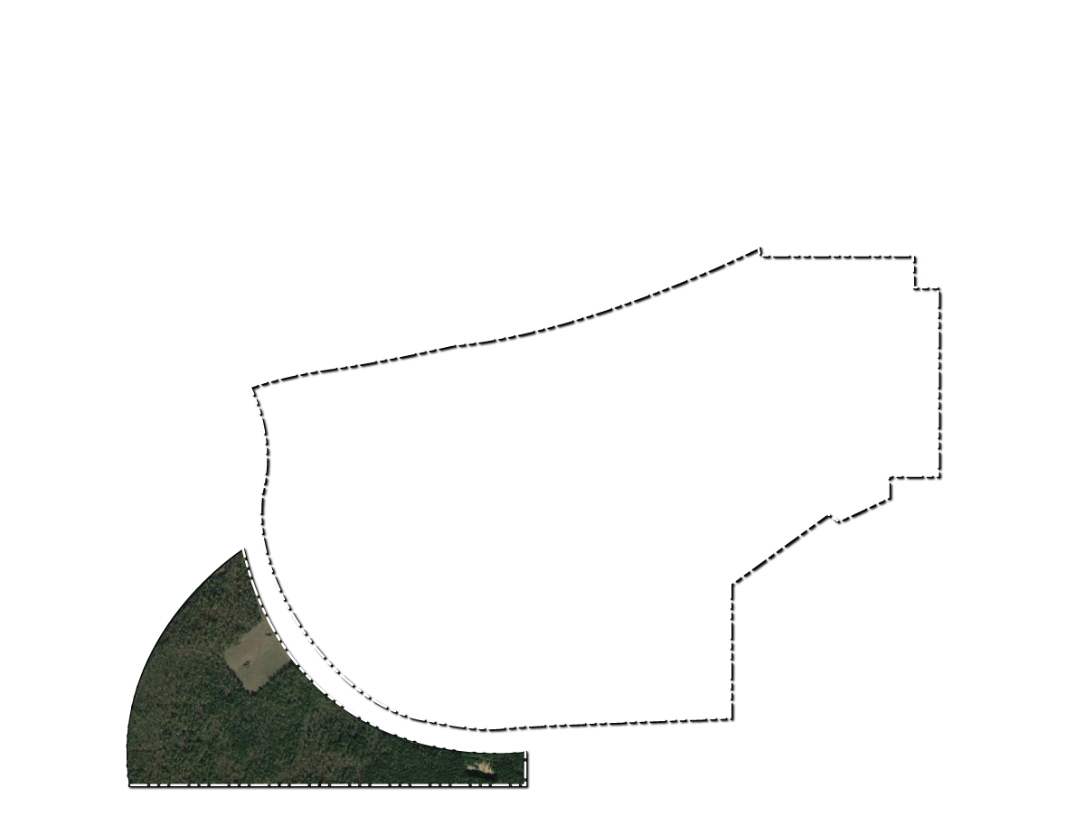 Welcome to the Rankin First